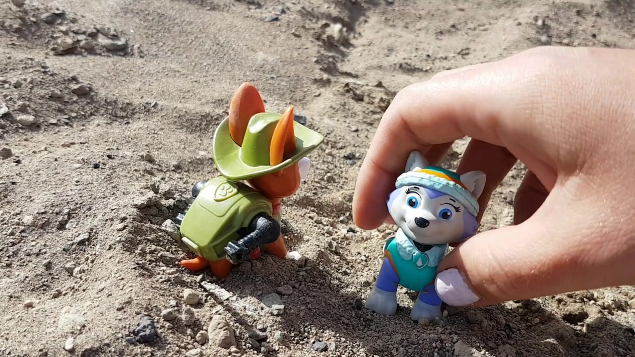 Paw Patrol pups Tracker and Everest visit the volcano - YouTube