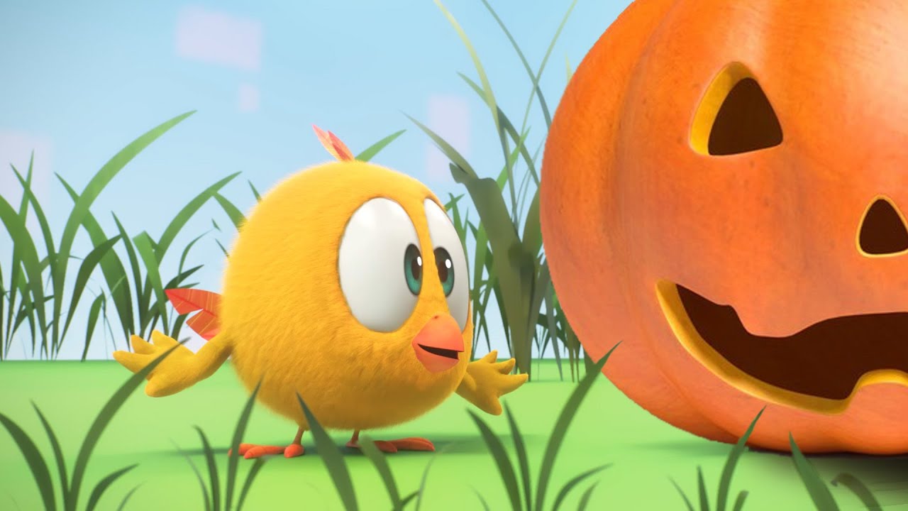 Where's Chicky? Funny Chicky 🎃 GIANT PUMPKIN 🎃 Cartoon in English for ...
