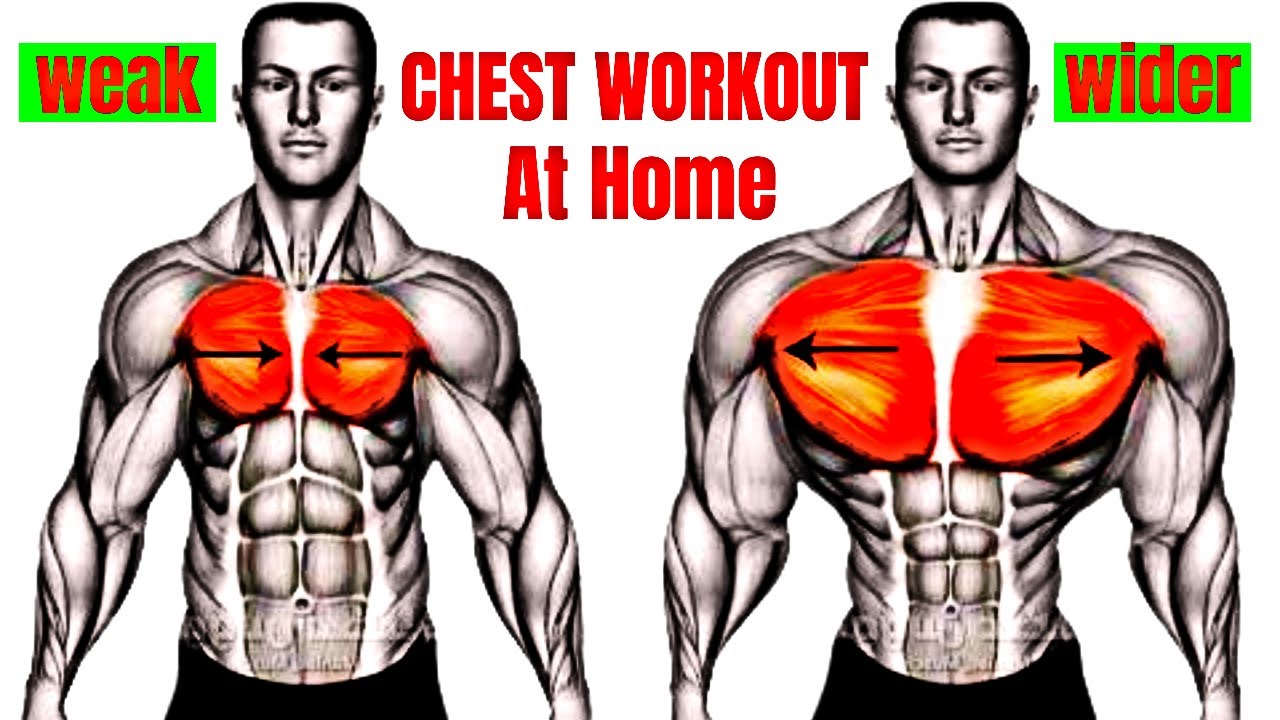 10 PERFECT CHEST WORKOUT AT HOME - NO EQUIPMENT🎯 - YouTube