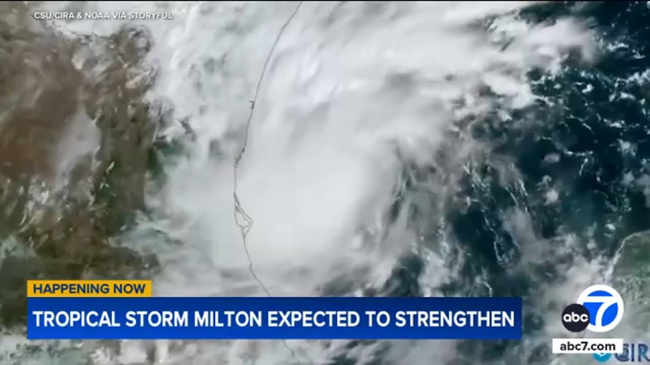 Tropical Storm Milton forms in Gulf of Mexico, forecast to hit Florida ...