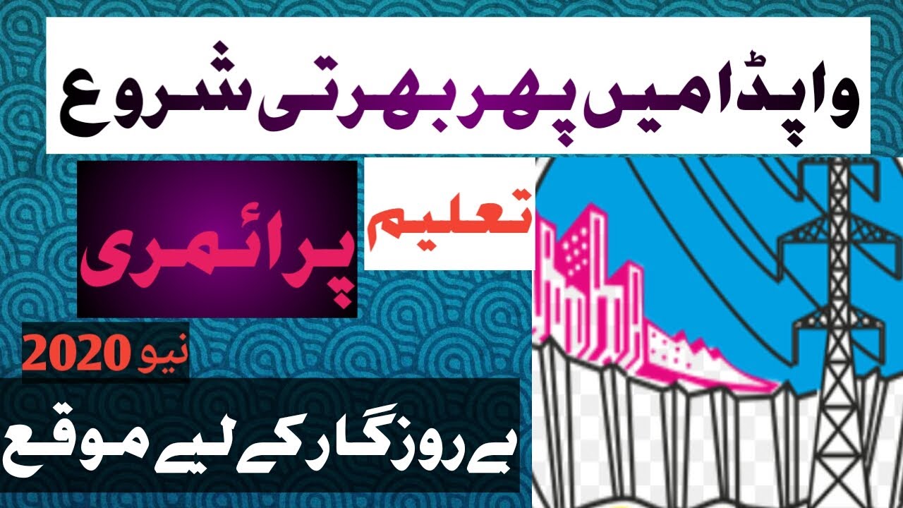 National Electric power Regulatory Authority Nepra Advertisement 2020 ...