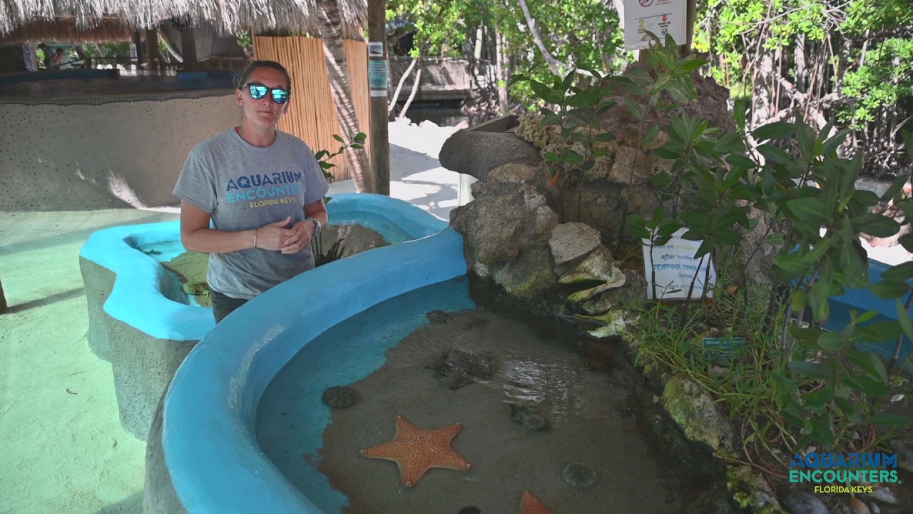 Aquarium Tour! - YouTube