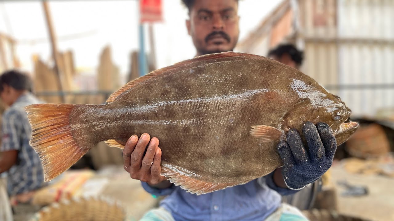 KASIMEDU BIG NAKU FISH CUTTING 💥 IN KASIMEDU NAKU FISH CUTTING 💥 - YouTube