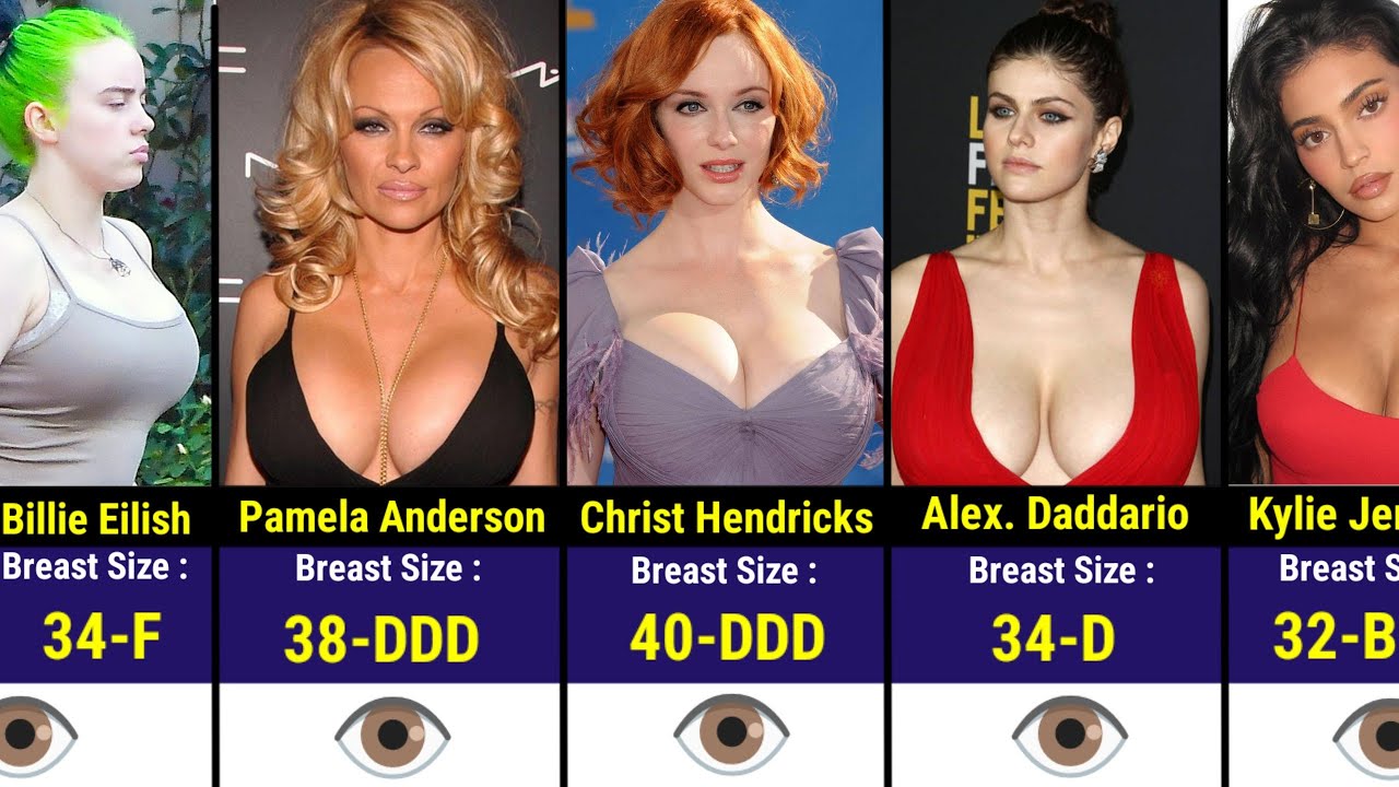 Hollywood Hottest Bra Size Revealed Youtube 9709