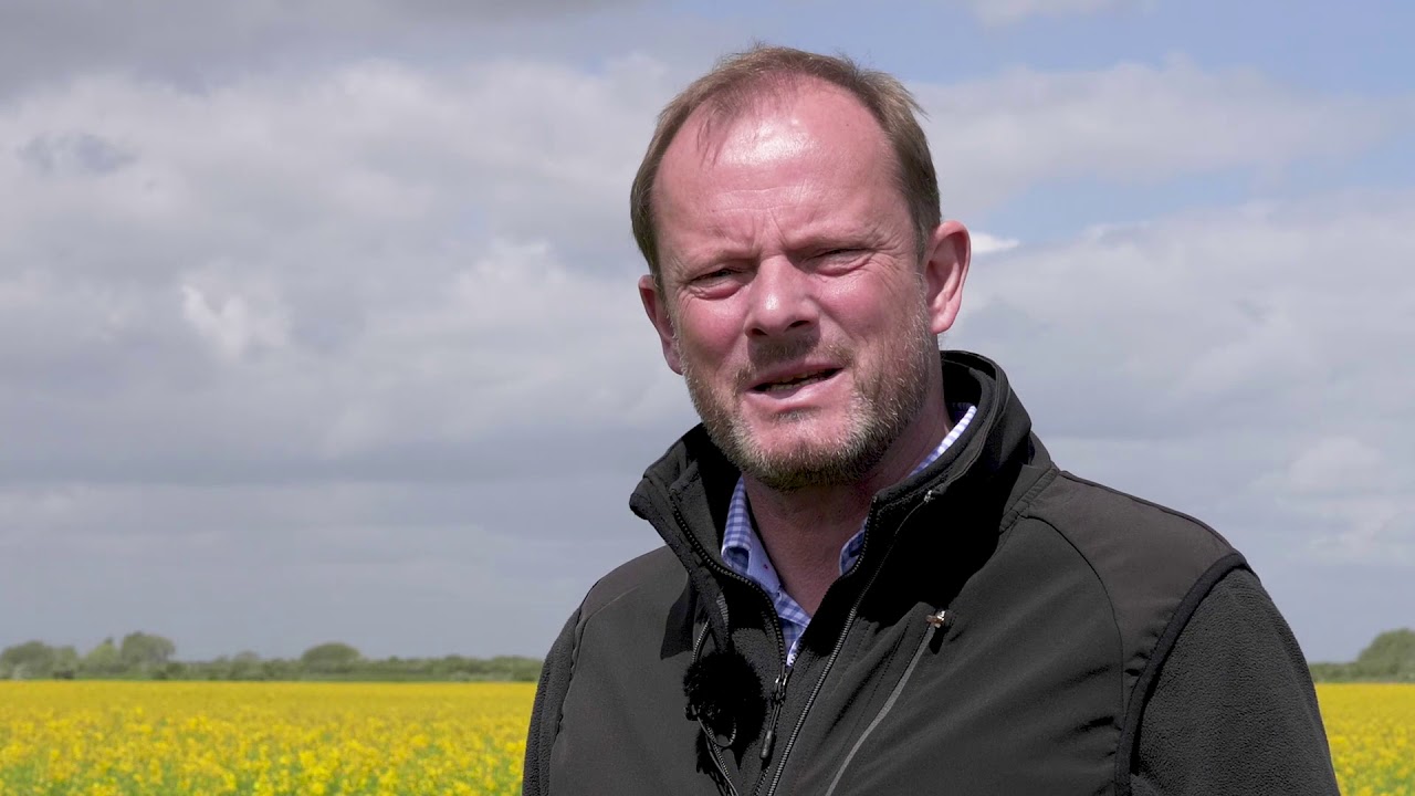 Spraying Petal Fall Fungicide on OSR at Stan White Farms - YouTube