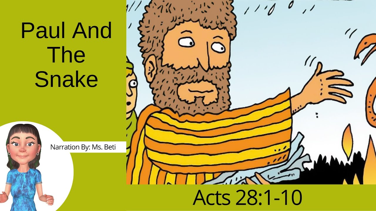 Children's Bible Story : Paul And The Snake - YouTube