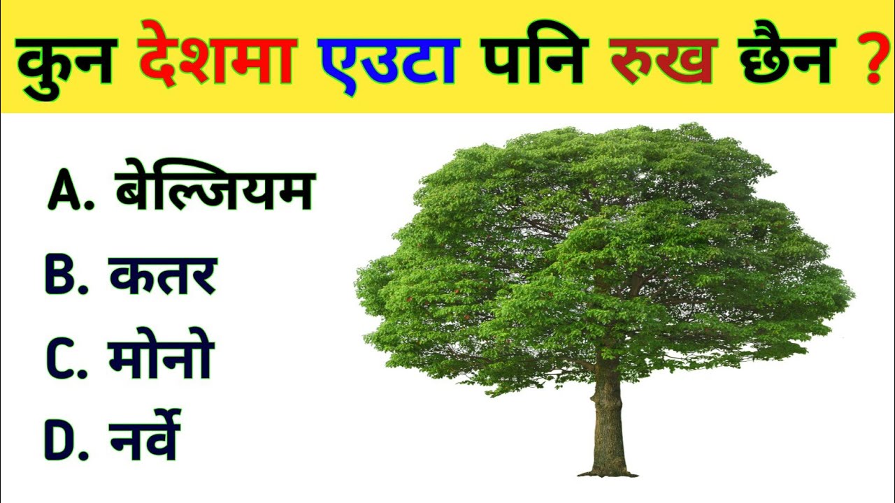 Gk Questions And Answers In Nepali Loksewa Tayari In Nepal Quiz Gk Questions And Answers In Nepali Loksewa Tayari In Nepal Quiz