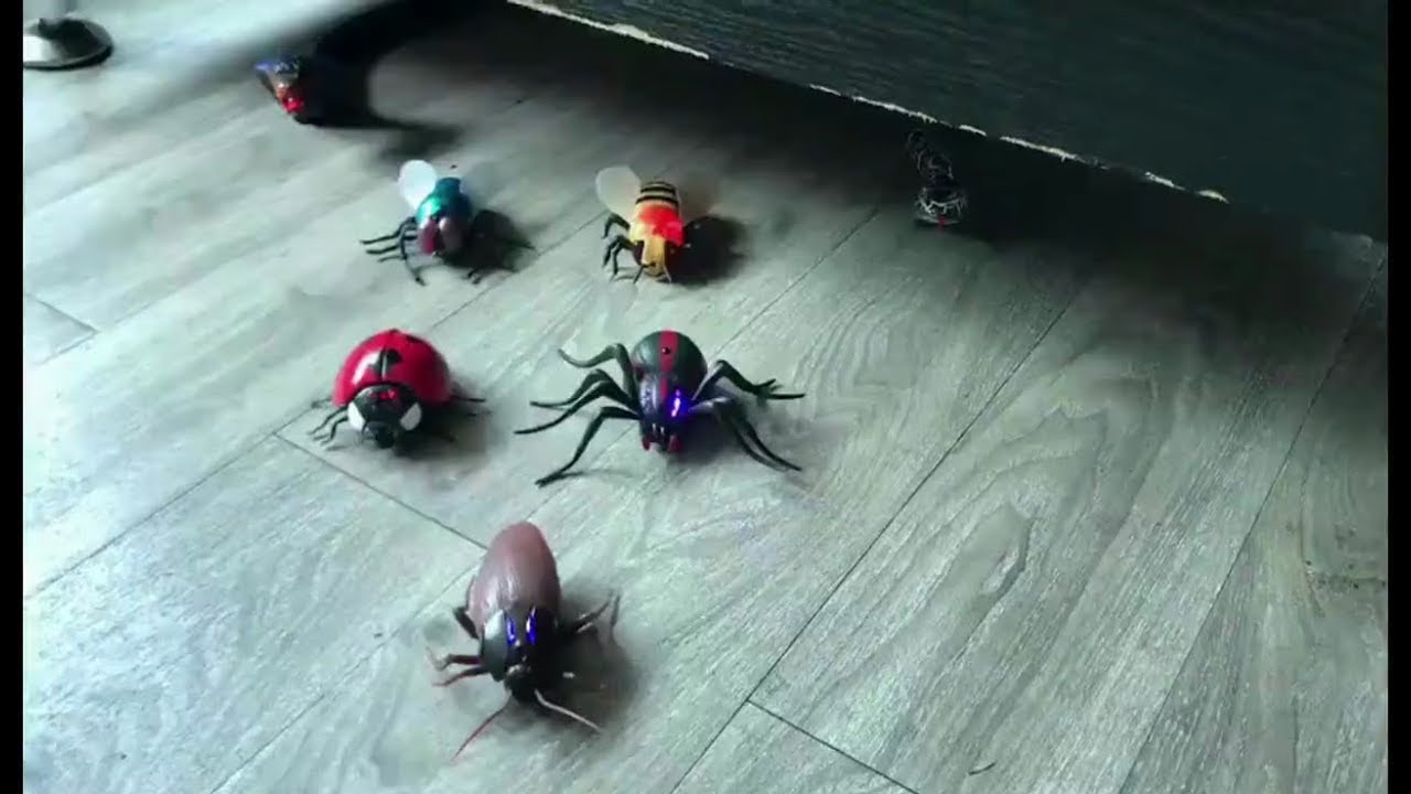 RC Toy's - RC Bugs - RC Toy - YouTube