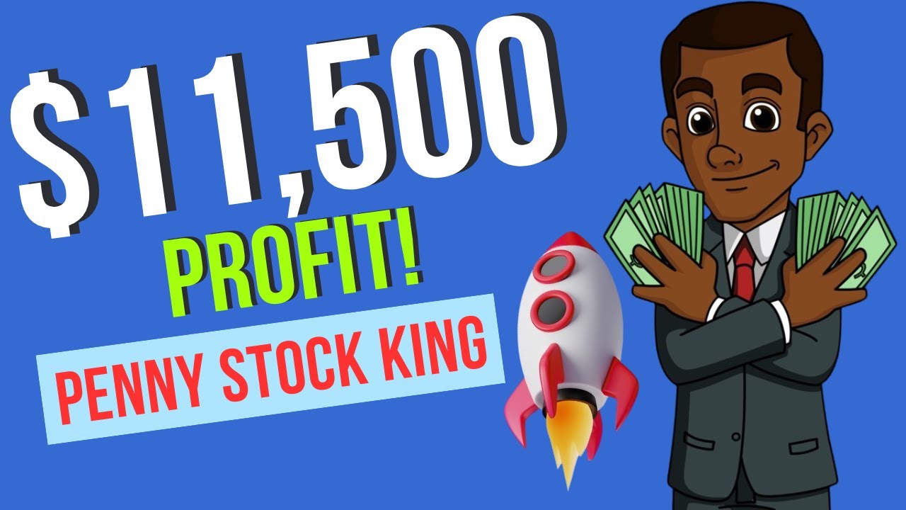🔥 $11,500 Profit Swing Trading This Penny Stock. Big Money 💰 in 2024 ...