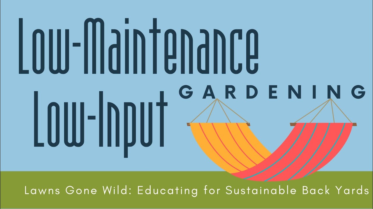 Low-Maintenance, Low-Input Gardening - YouTube