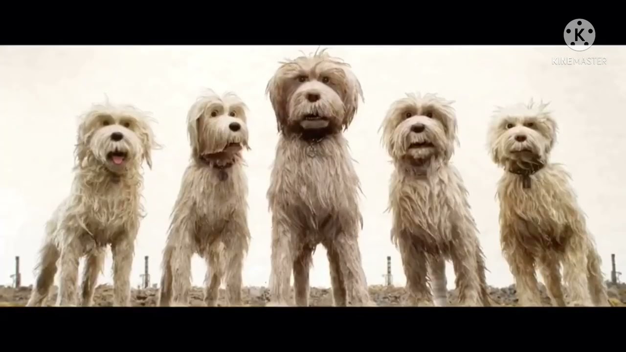 Midnight Horrors Deluxe Daratango is Worth it - YouTube