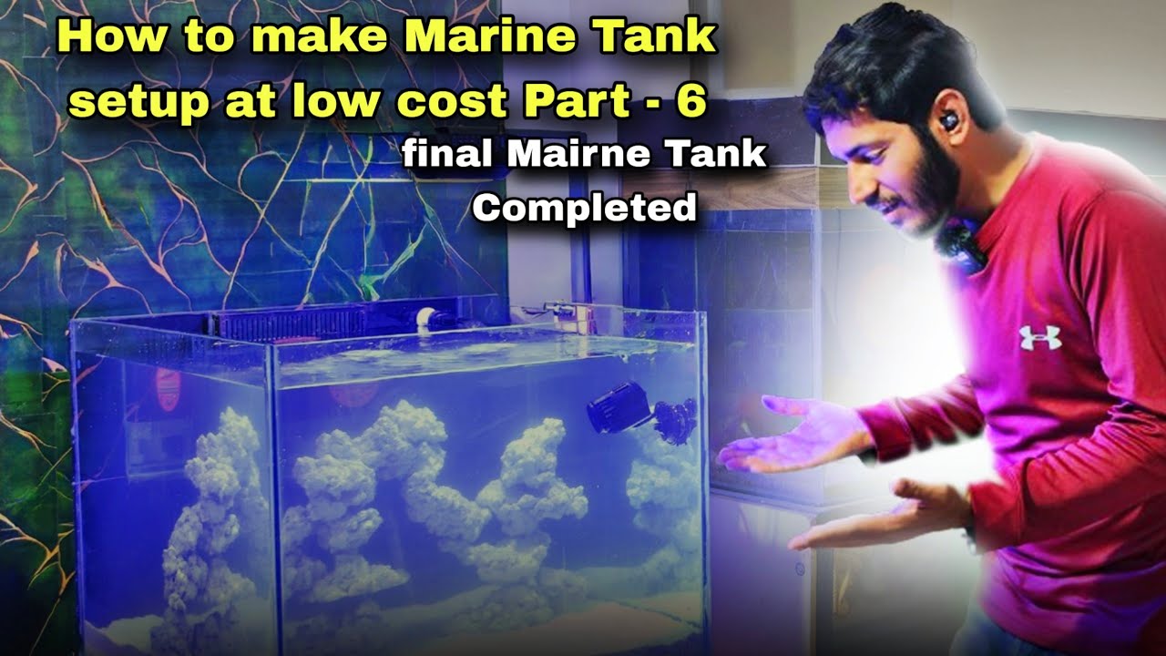How to make Marine Tank setup at low cost Part - 7 , How to mix salt ...