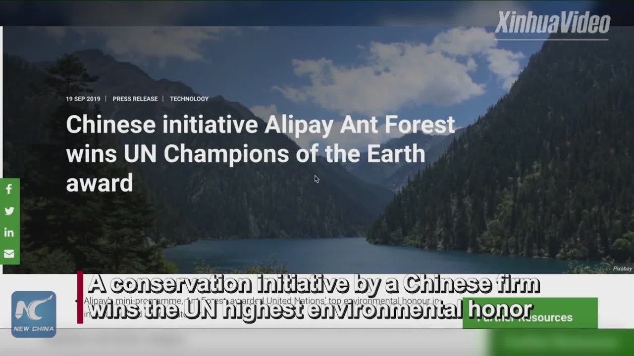 Chinese firm's tree-planting initiative wins UN highest environmental ...