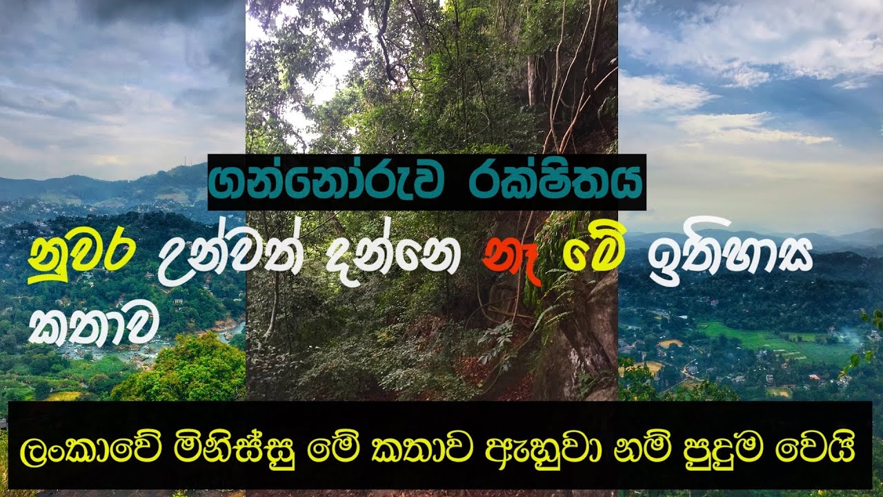 Gannoruwa Forest - Kandy Harithawahini Sri lanka - YouTube