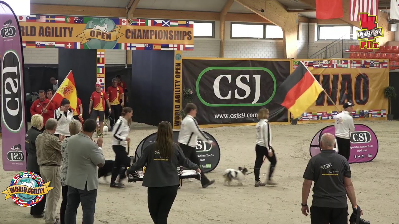 2019 World Agility Open Championships - Sunday Noon Awards - YouTube