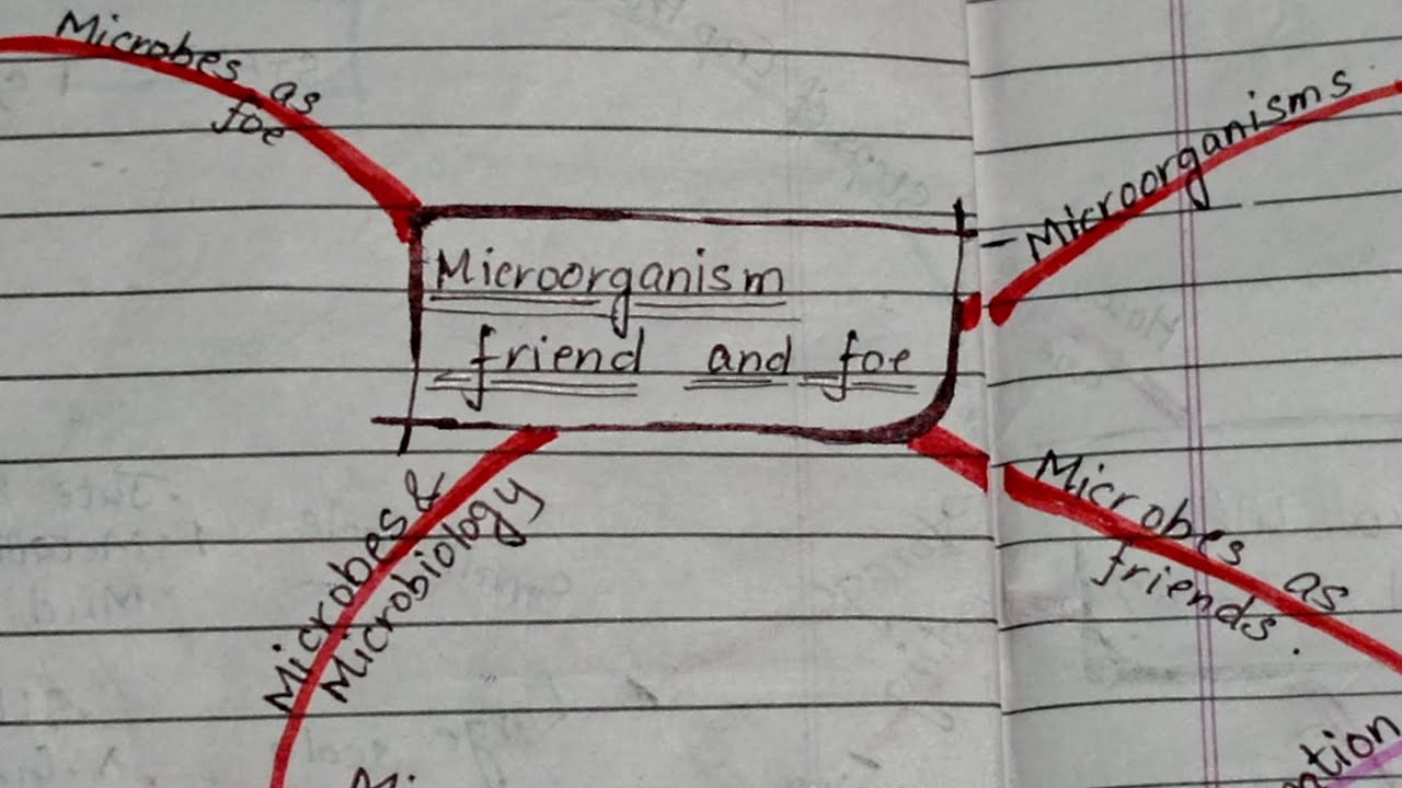Mind Map Class-8th (Microorganisms:Friend and Foe). #mindmap #study # ...