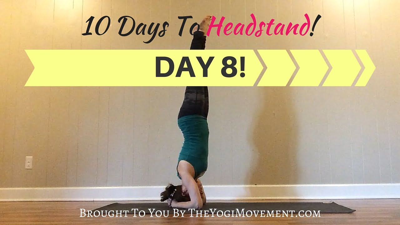 Headstand Challenge: Day 8 Learning Headstand for Beginners - YouTube