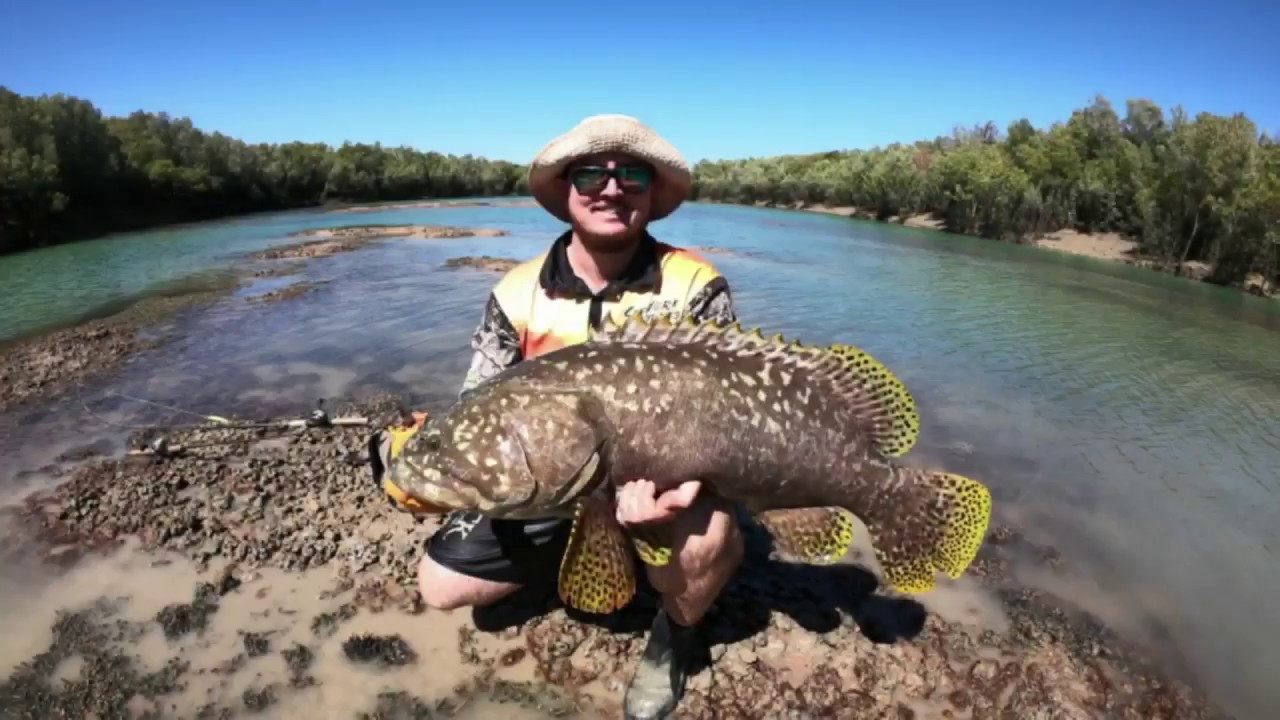 Queensland Groper caught on lure, Fishing the Kimberley - YouTube