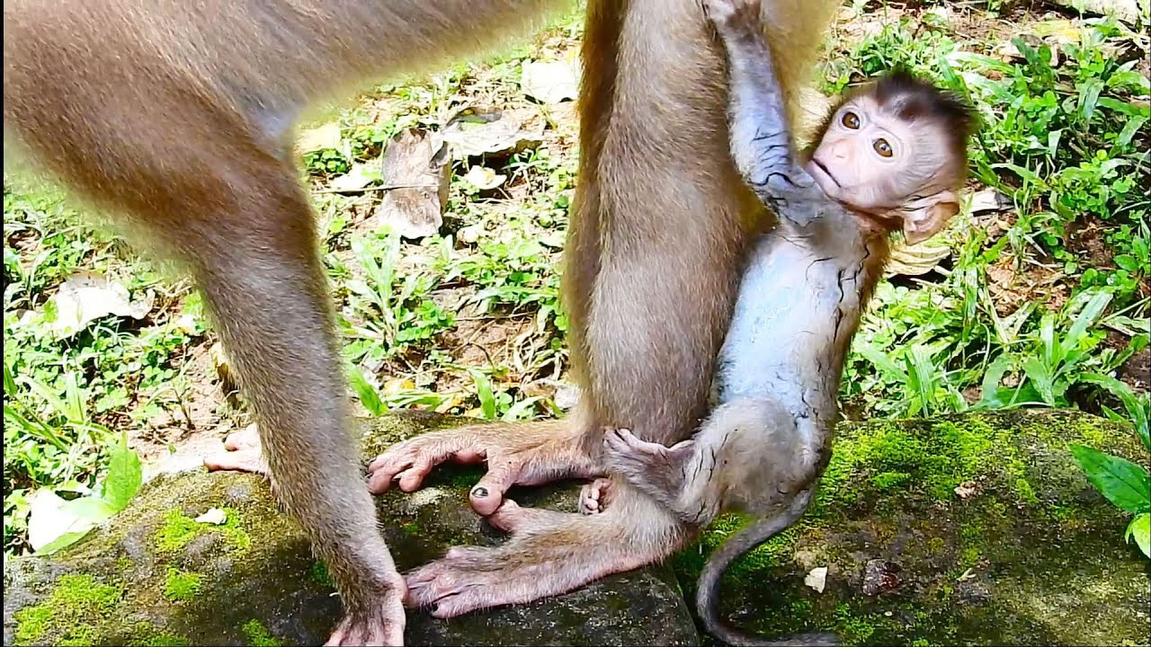 Little princess Rainbow groaning softly s.car.ed Libby drop her alone ...