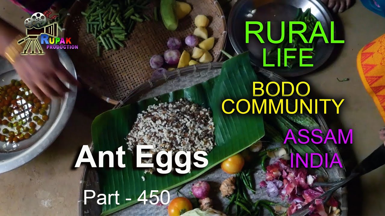 RURAL LIFE OF BODO COMMUNITY IN ASSAM, INDIA, Part - 450 ... - YouTube
