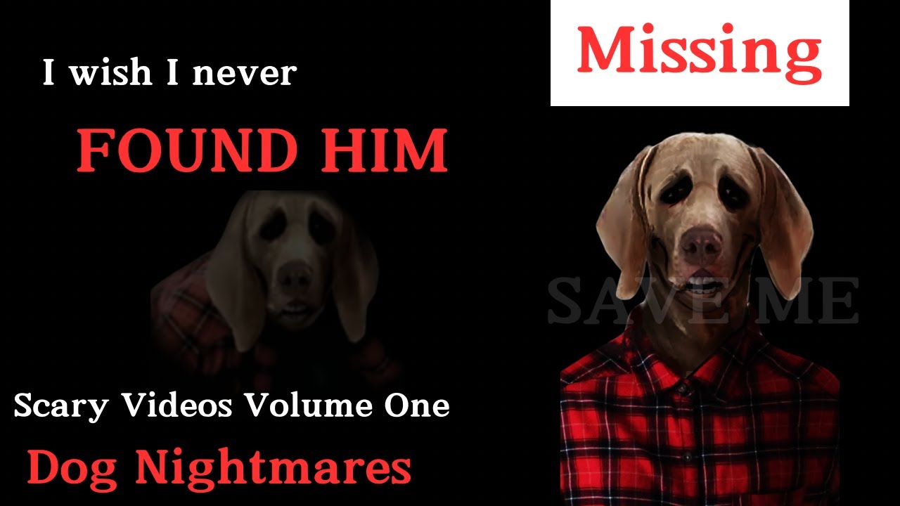 Dog Nightmares reaction - YouTube