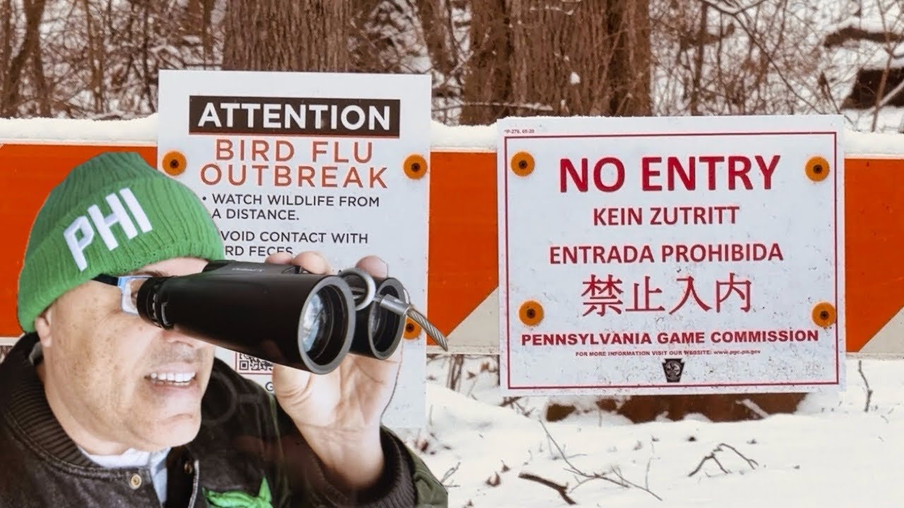 Middle Creek Wildlife Area: Snow Goose Migration - UPDATE On Avian Flu ...