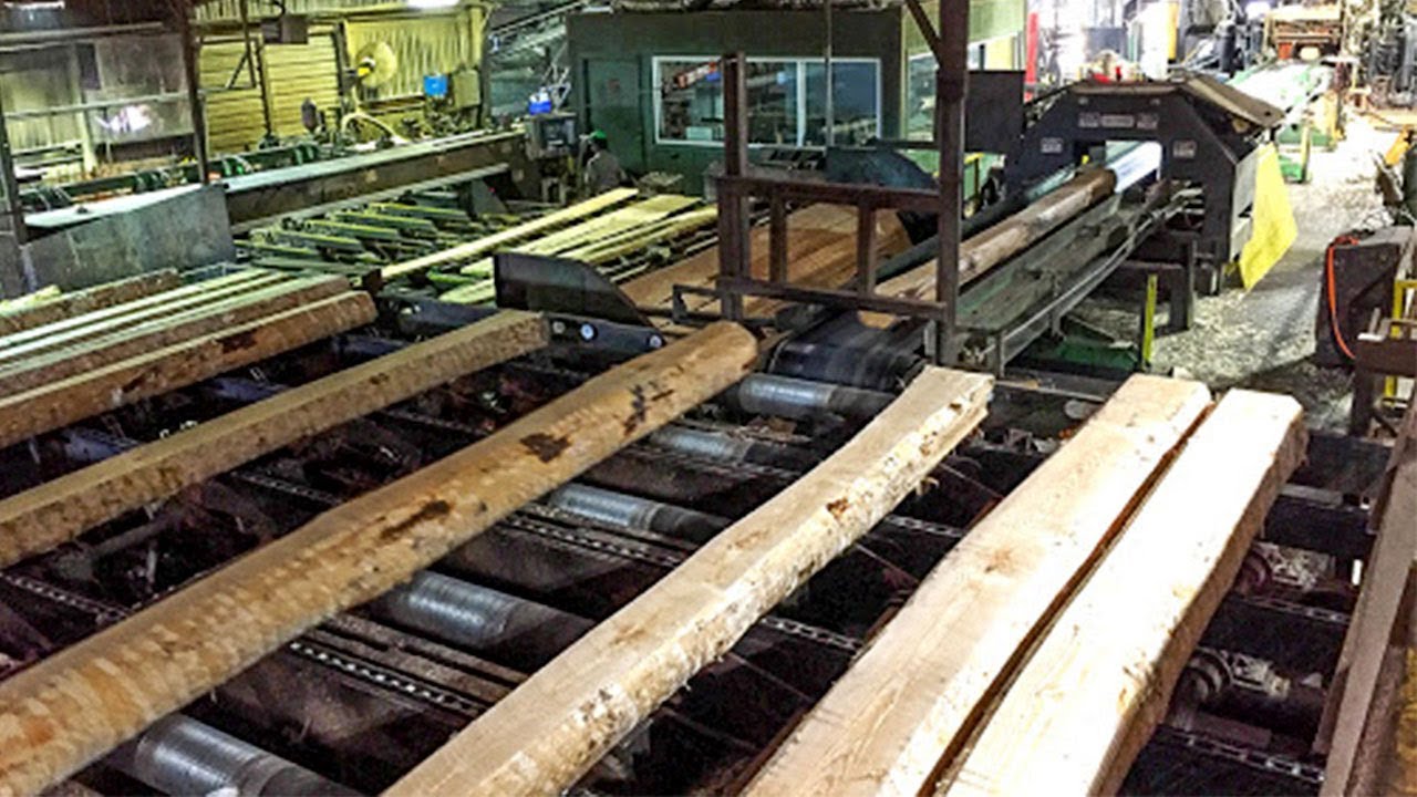 Amazing Sawing Lines with Automatic Sawmill Machines - Modern Wood ...