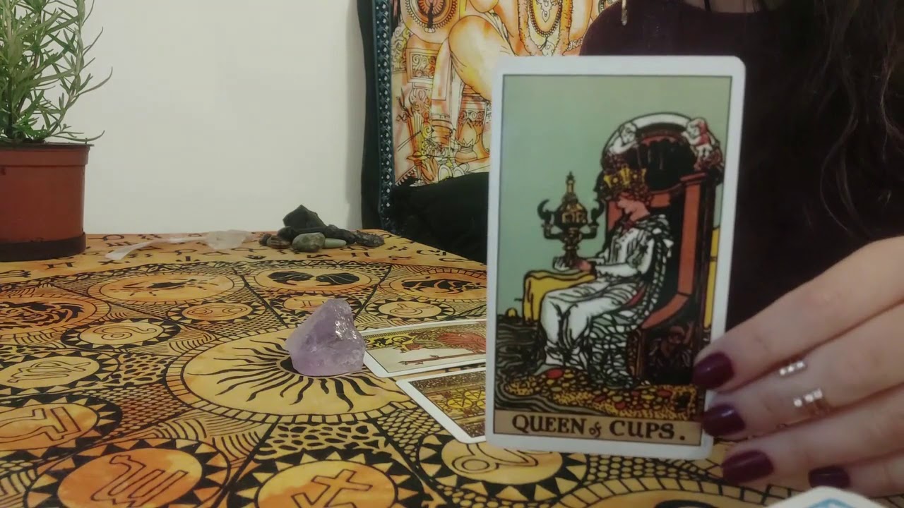 O que ele/ela sente por mim? ~ She-Wolf Tarot - YouTube