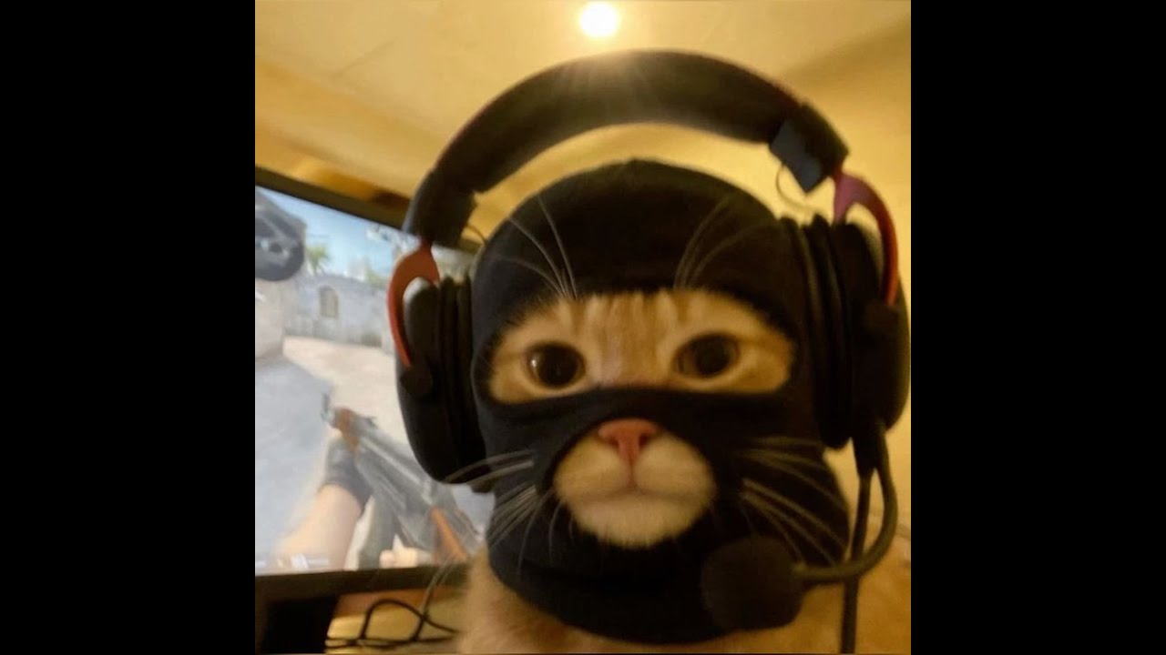 [LIVE] DIBIDI SKIBIDI CUNG NGAI DE DBD - YouTube