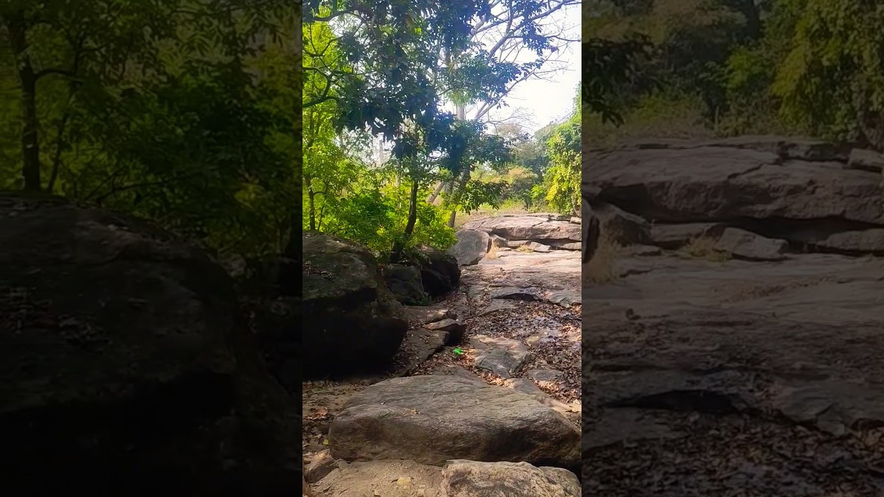 kanjikode Forest 🏞️#traveladdict #nature #travel # ...