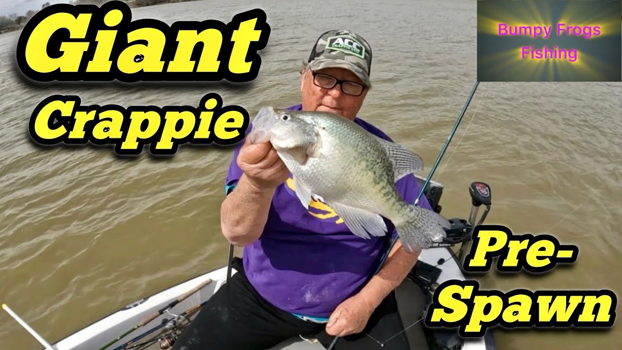 Giant Crappie Pre-Spawn! - YouTube
