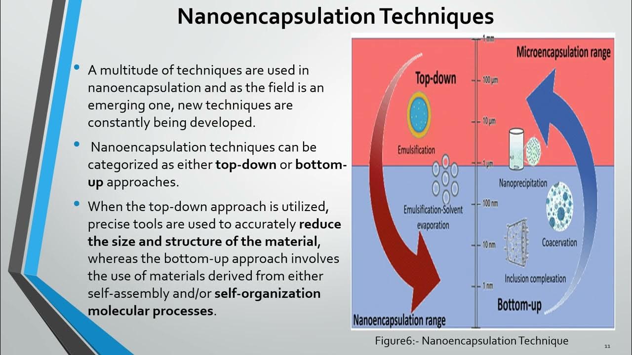 #Nanoencapsulation #Classification, defination of nanoencapsulation system and Applications ...