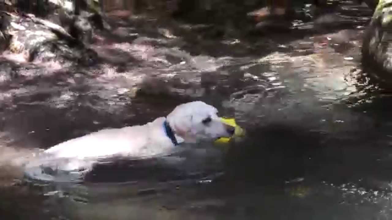 Ibo-River 2014/07/27 - YouTube