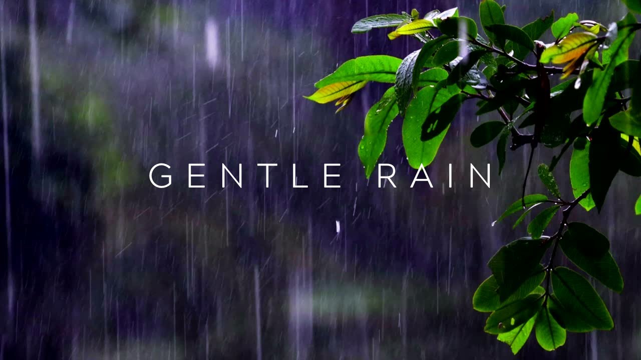 GENTLE RAIN SOUNDS for sleep, focus, meditation, and studyㅣRELAXING ...