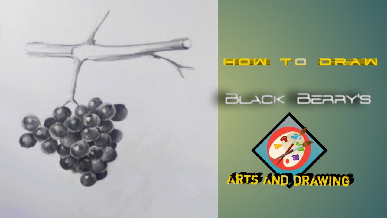 Black Berry Drawing/How to draw Berry step by step - YouTube