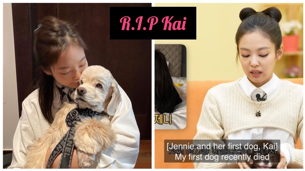 Jennie's first dog , Kai passed away. - YouTube