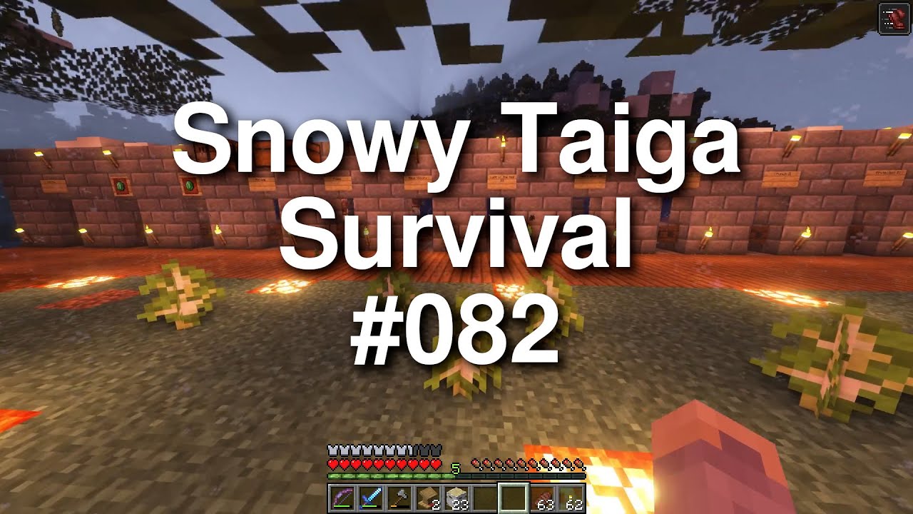 Minecraft Snowy Taiga Survival - #082 - YouTube