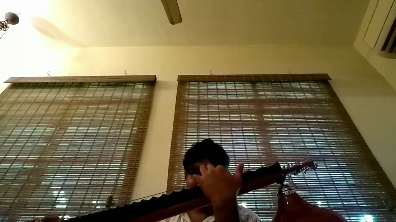 S balachander style Veena practice - YouTube