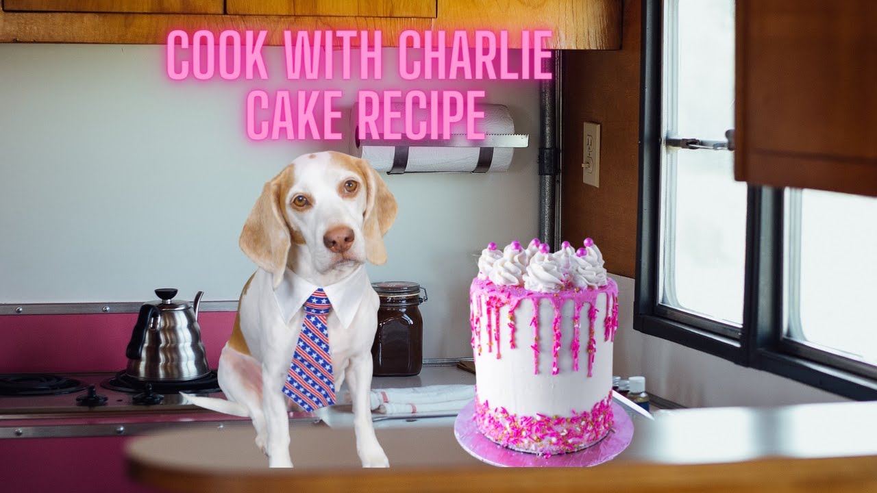 cook with Charlie cake | Cake recipe | Cook with dog | Cook with ...