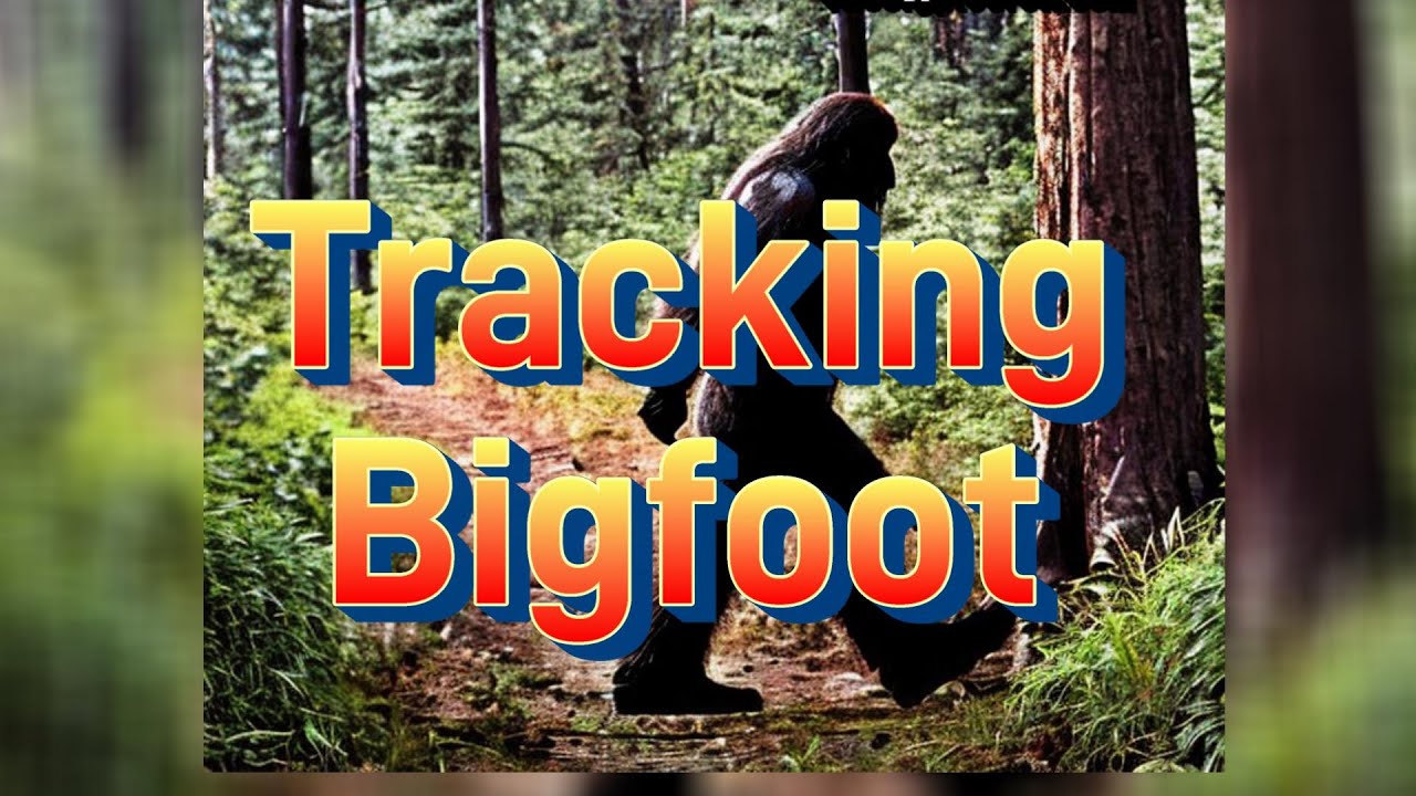 Tracking Bigfoot - YouTube
