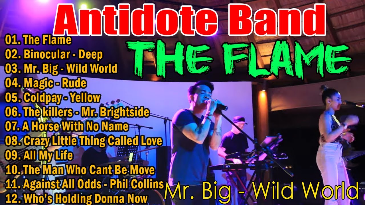 Antidote Band Nonstop Collection Best Cover Songs - Antidote Band Medley English Hits Songs 2024 ...