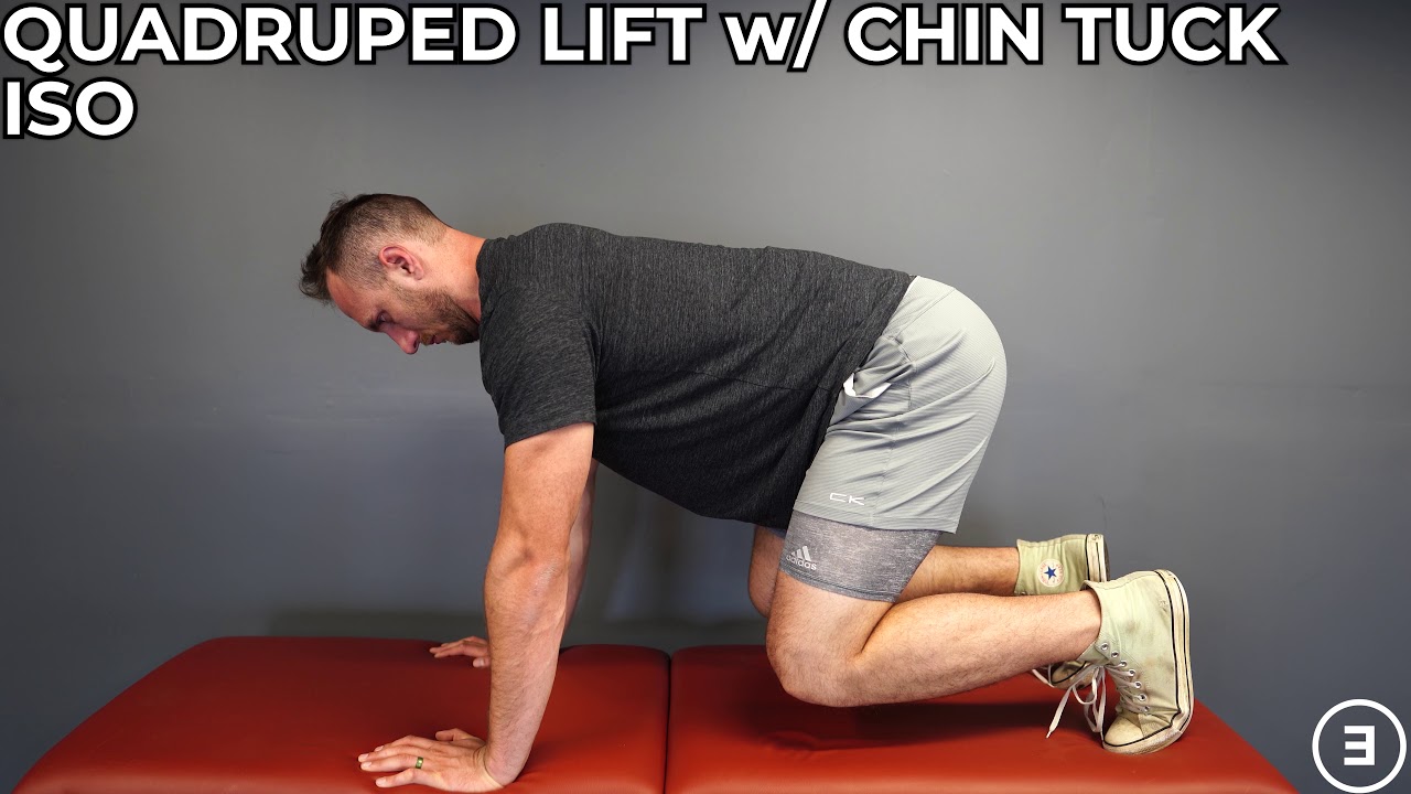 Quadruped Lift with Chin Tuck Isometric - YouTube