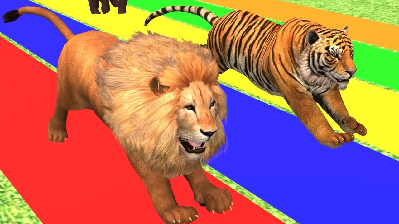 Wild Animal Racing Game, Lion, Tiger, Bear, Deer, Elephant | Roar Race ...