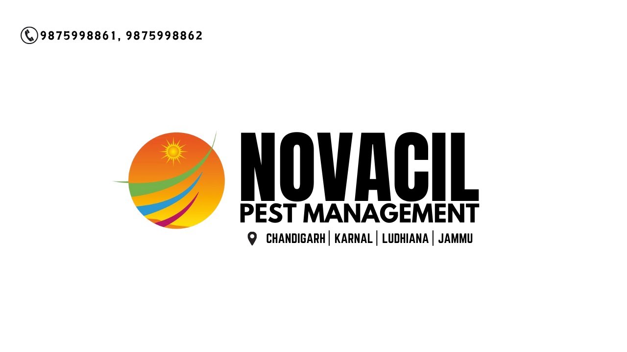 "NOVACIL PEST MANAGEMENT" The BEST Solution To All Your PEST PROBLEMS ...