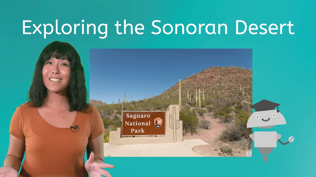 Exploring the Sonoran Desert - Environmental Factors Impacting Deserts ...