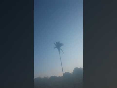 Indo pra casa 🏠