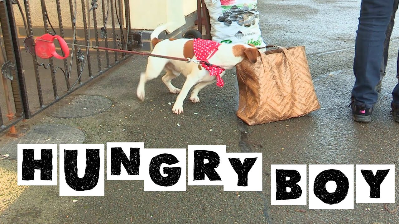 Chico Chugg is a Hungry Boy - YouTube