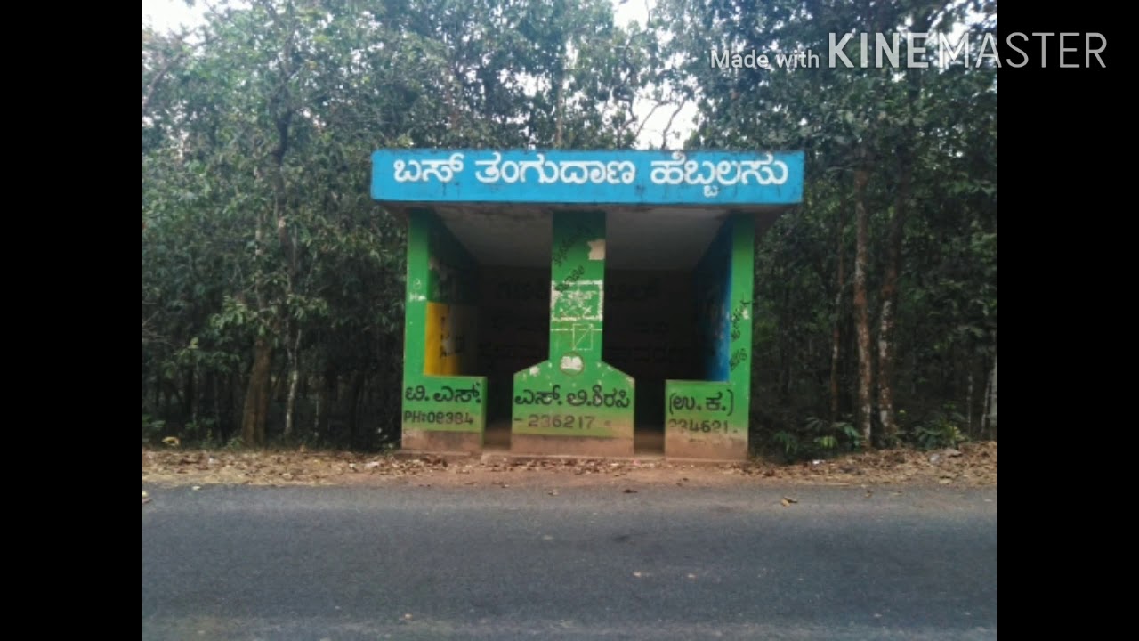 Complete view of a village in malenadu - YouTube