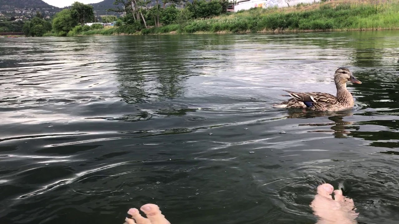 Floating the Penticton Channel - YouTube