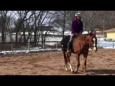 Pas De Cheval - YouTube